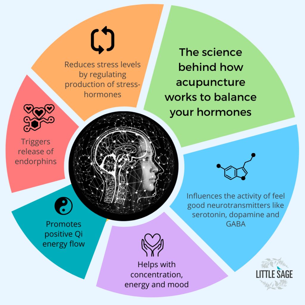 How does Acupuncture balance hormones? – Little Sage Acupuncture ...