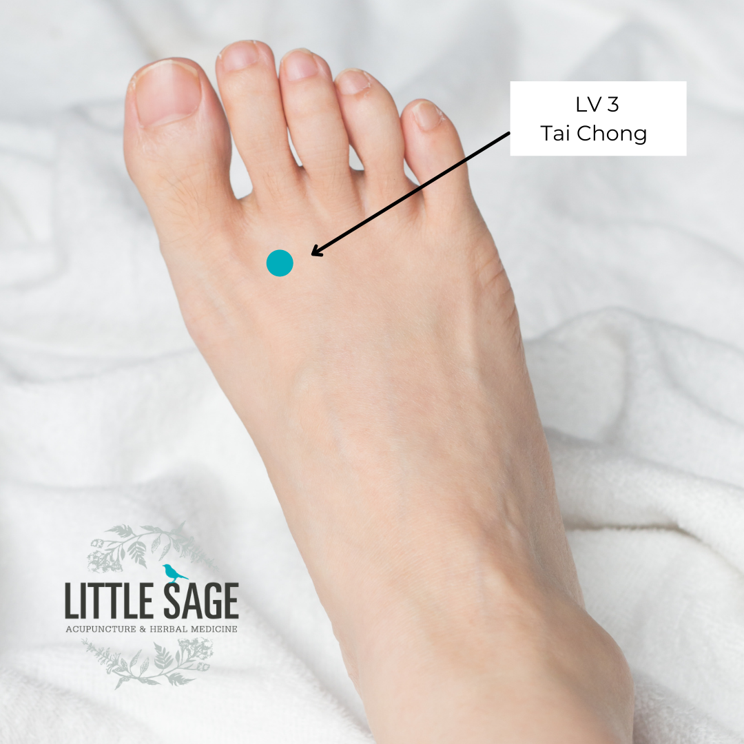 Unleashing Spring's Energy: Acupressure Point for Renewal and Growth ...